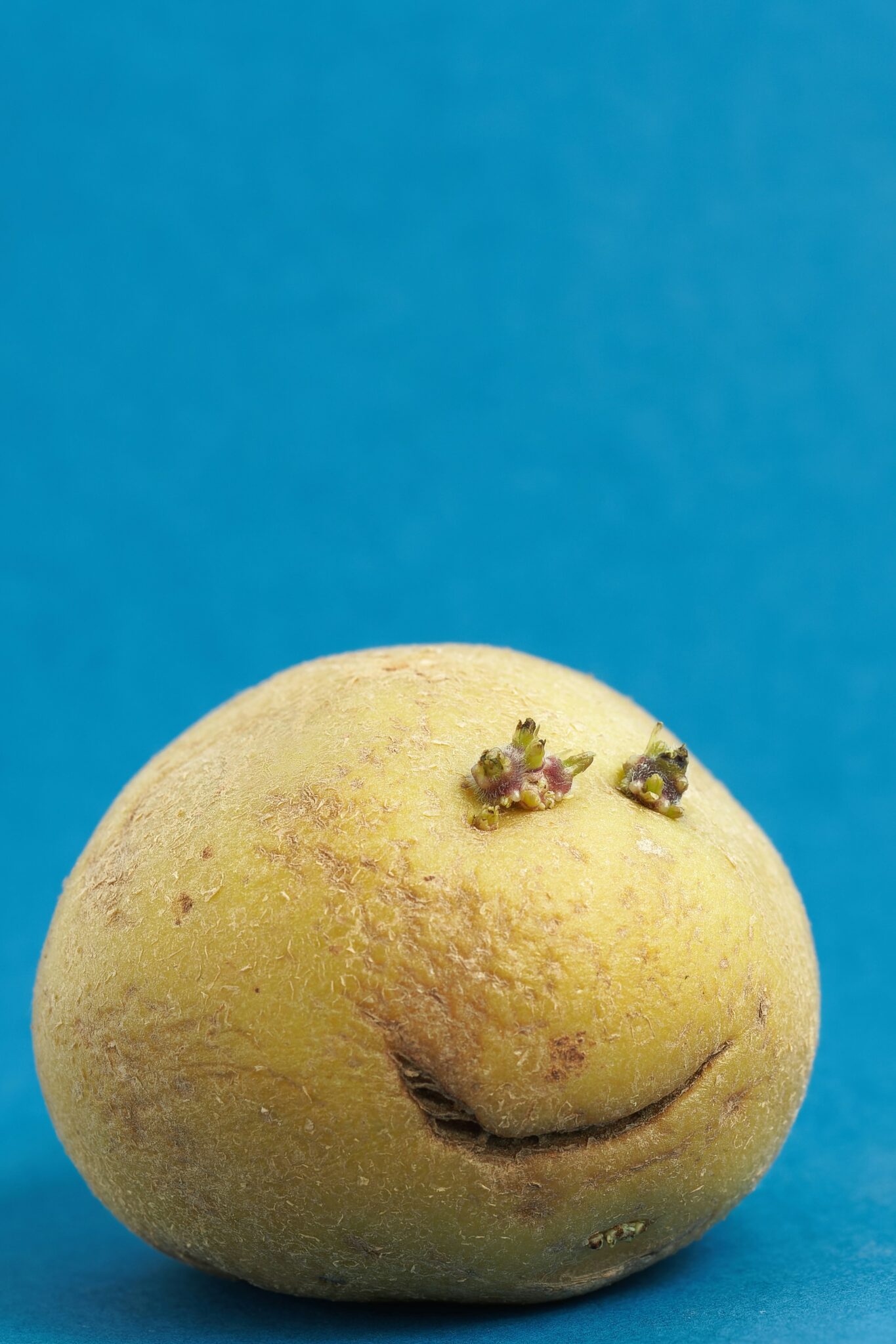 Are Oxidized Potatoes Safe To Eat? Let's Find Out! - Krystel's Cooking